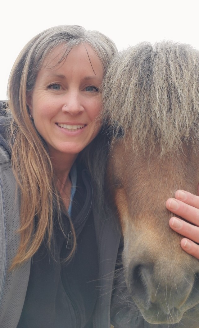 Counselling Therapy Incorporating Horses – Road's End Farm